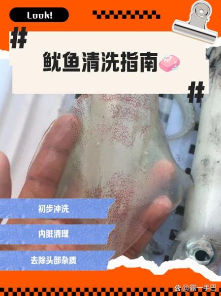 整条鱿鱼怎么处理_如何清洗去内脏-第1张图片-山城妙识