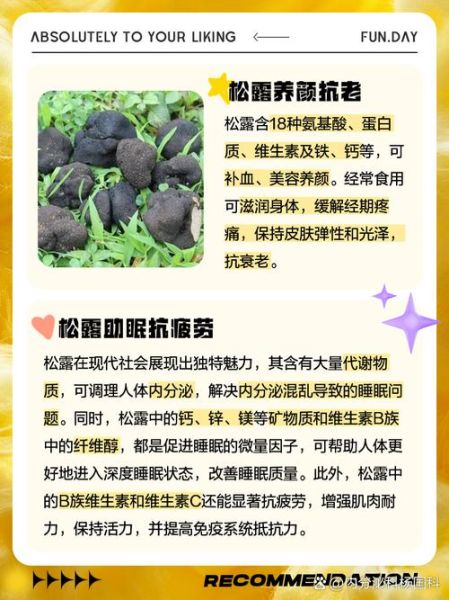 松露是什么东西_松露为什么这么贵-第3张图片-山城妙识 松露是什么东西_松露为什么这么贵-第3张图片-山城妙识