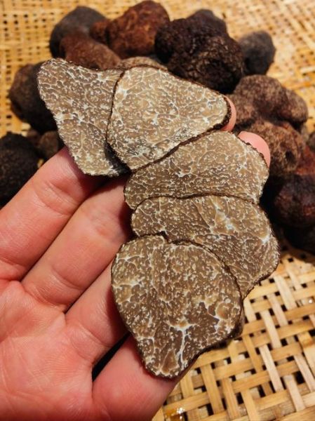 松露是什么东西_松露为什么这么贵-第1张图片-山城妙识 松露是什么东西_松露为什么这么贵-第1张图片-山城妙识