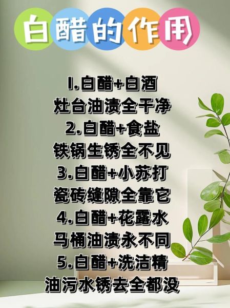 晚上怎么喝白醋减肥_白醋减肥的正确方法-第2张图片-山城妙识 晚上怎么喝白醋减肥_白醋减肥的正确方法-第2张图片-山城妙识