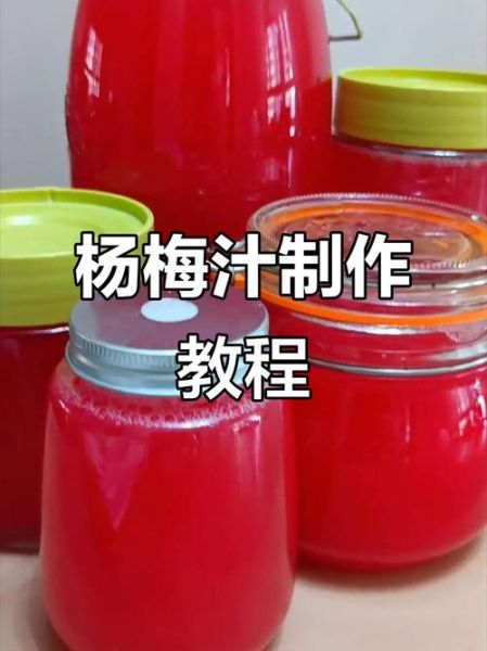 杨梅汁怎么做_杨梅汁怎么保存不变色-第1张图片-山城妙识 杨梅汁怎么做_杨梅汁怎么保存不变色-第1张图片-山城妙识