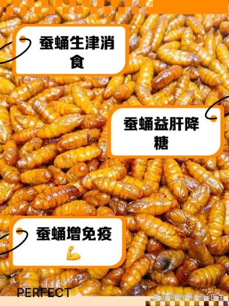 蚕蛹吃多了会怎么样_蚕蛹过量副作用-第1张图片-山城妙识