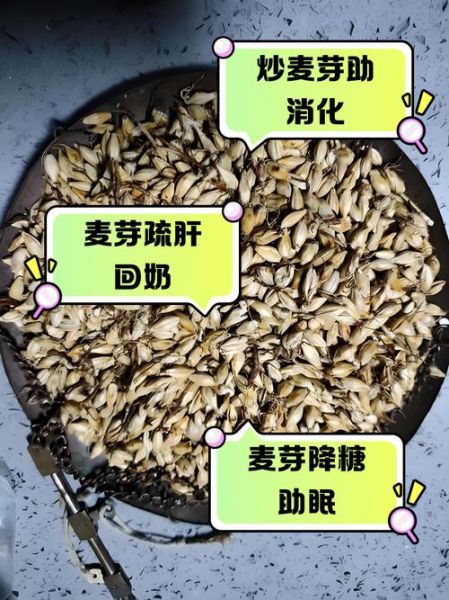 炒麦芽的功效与作用_炒麦芽主治哪些病-第2张图片-山城妙识