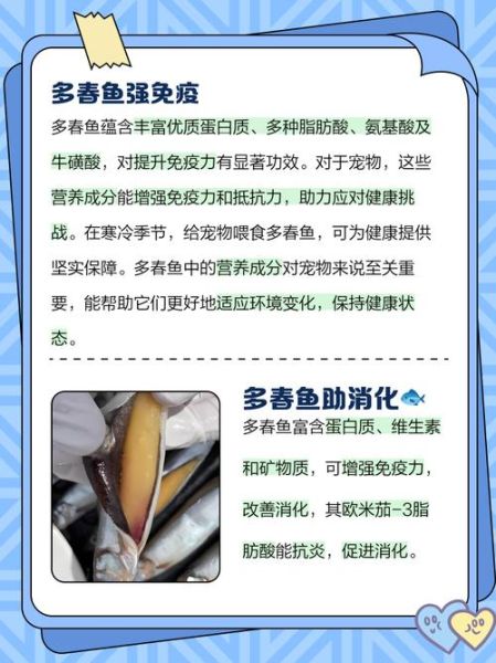 多春鱼的营养价值_多春鱼的功效与作用-第1张图片-山城妙识