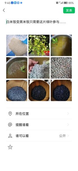 乌米饭的由来_乌米饭的传说故事-第1张图片-山城妙识