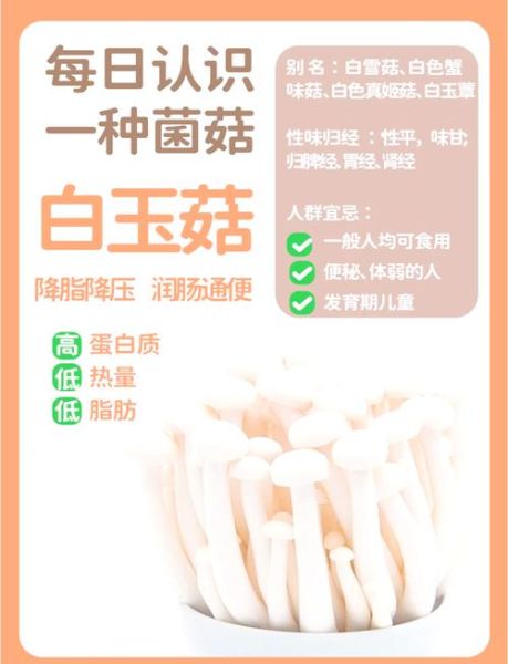 蟹味菇和白玉菇的区别_哪个更好吃-第3张图片-山城妙识 蟹味菇和白玉菇的区别_哪个更好吃-第3张图片-山城妙识