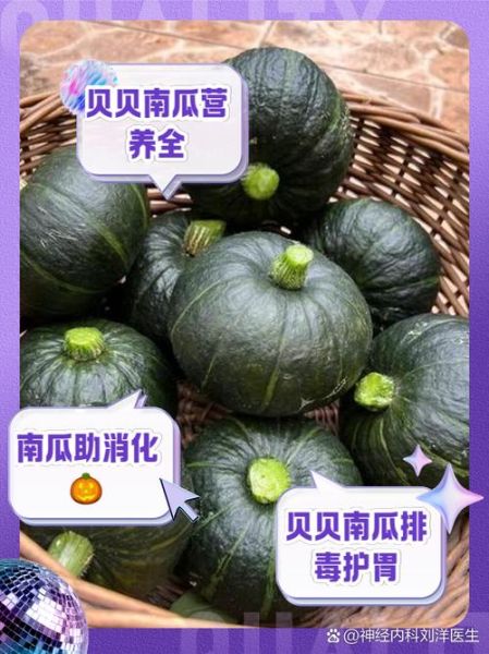 贝贝南瓜的营养价值_贝贝南瓜的功效与作用-第2张图片-山城妙识