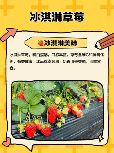 草莓冰激凌什么歌_歌词含义解析-第1张图片-山城妙识