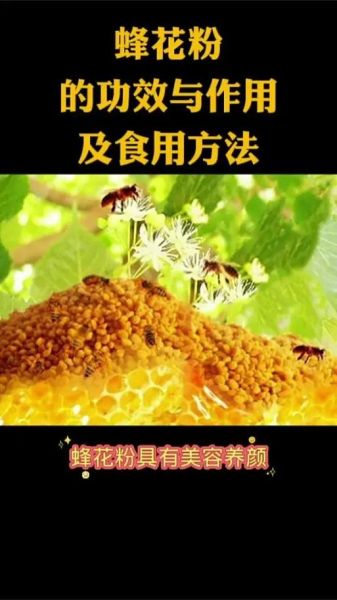 蜂蜜花粉的功效与作用_蜂蜜花粉适合什么人吃-第3张图片-山城妙识 蜂蜜花粉的功效与作用_蜂蜜花粉适合什么人吃-第3张图片-山城妙识