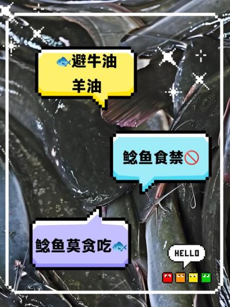 吃鲶鱼有什么禁忌吗_鲶鱼不能和什么一起吃-第1张图片-山城妙识