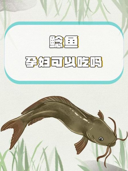 吃鲶鱼有什么禁忌吗_鲶鱼不能和什么一起吃-第2张图片-山城妙识