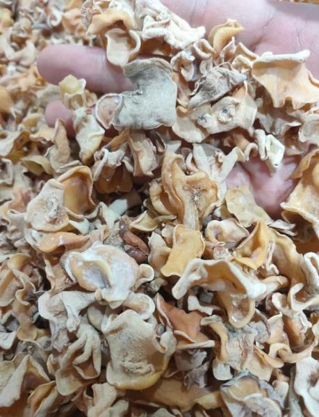 玉木耳怎么泡发_玉木耳炒什么好吃-第2张图片-山城妙识