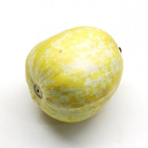 方瓜的功效与作用禁忌_方瓜怎么吃不上火-第3张图片-山城妙识