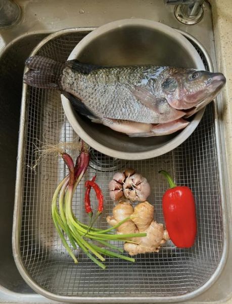 水煮罗非鱼怎么做才嫩_水煮罗非鱼用不用去腥-第2张图片-山城妙识 水煮罗非鱼怎么做才嫩_水煮罗非鱼用不用去腥-第2张图片-山城妙识