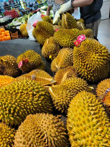吃了榴莲为什么精神好_榴莲让人兴奋的真相-第2张图片-山城妙识