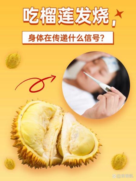 吃了榴莲为什么精神好_榴莲让人兴奋的真相-第3张图片-山城妙识