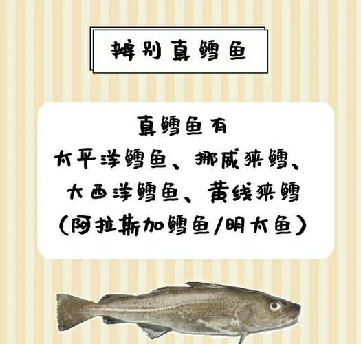 油鱼和鳕鱼的区别图片_怎么一眼分辨真假鳕鱼-第3张图片-山城妙识