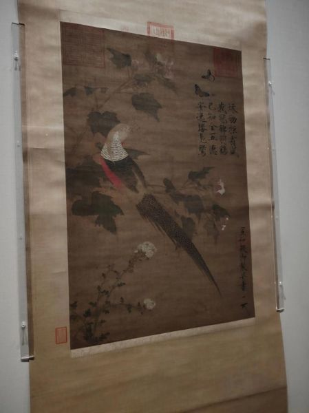 芙蓉锦鸡图是什么_如何鉴赏芙蓉锦鸡图-第3张图片-山城妙识 芙蓉锦鸡图是什么_如何鉴赏芙蓉锦鸡图-第3张图片-山城妙识