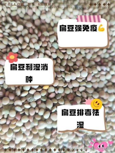 扁豆的功效与作用_扁豆怎么吃最营养-第2张图片-山城妙识