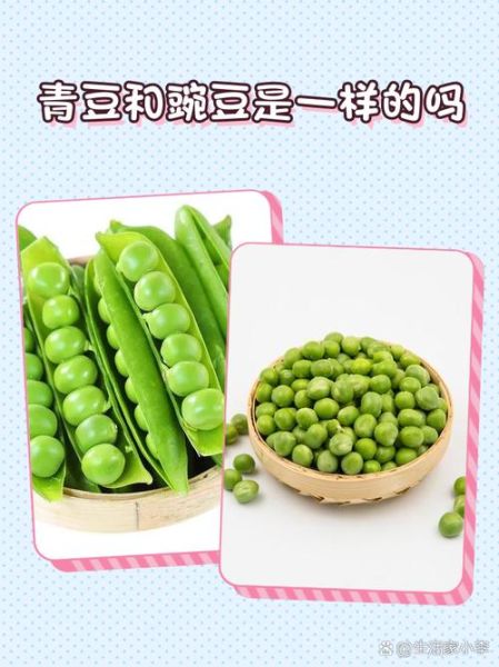 豌豆和青豆的区别_哪个更有营养-第2张图片-山城妙识