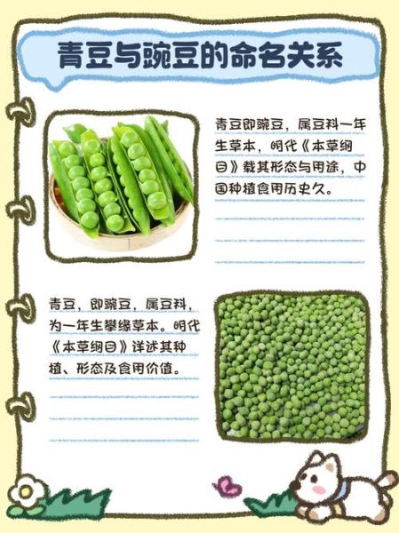 豌豆和青豆的区别_哪个更有营养-第1张图片-山城妙识