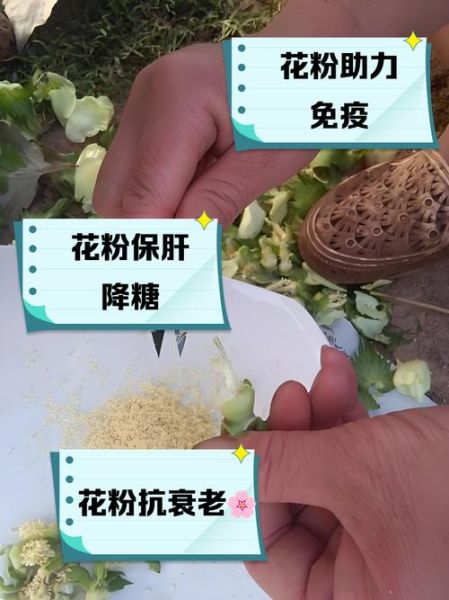 男人吃花粉能提高性功能吗_花粉壮阳效果怎么样-第1张图片-山城妙识