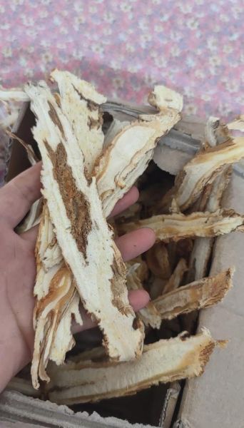 当归图片全图_如何辨别真假-第3张图片-山城妙识