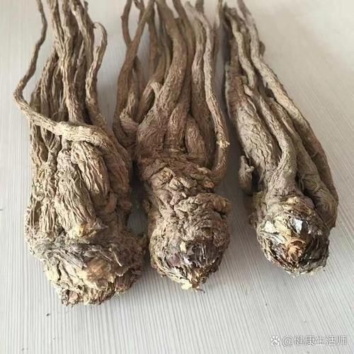 当归图片全图_如何辨别真假-第2张图片-山城妙识