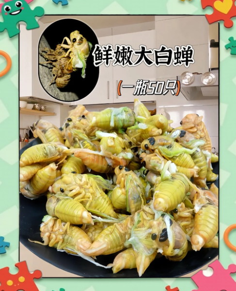 知了怎么吃东西_知了吃什么食物-第1张图片-山城妙识