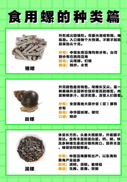 东风螺和花螺的区别_哪个更好吃-第1张图片-山城妙识