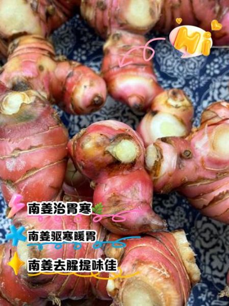 南姜的功效与作用_南姜的禁忌人群有哪些-第1张图片-山城妙识