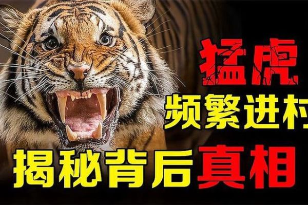 是真的吗2021_真相揭秘-第3张图片-山城妙识