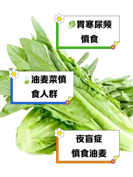 医生为什么不建议吃油麦菜_油麦菜的危害有哪些-第1张图片-山城妙识 医生为什么不建议吃油麦菜_油麦菜的危害有哪些-第1张图片-山城妙识