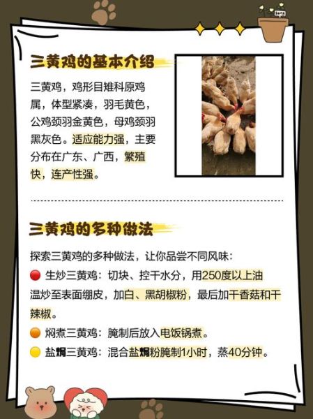 三黄鸡怎么做好吃_三黄鸡做法大全-第1张图片-山城妙识 三黄鸡怎么做好吃_三黄鸡做法大全-第1张图片-山城妙识