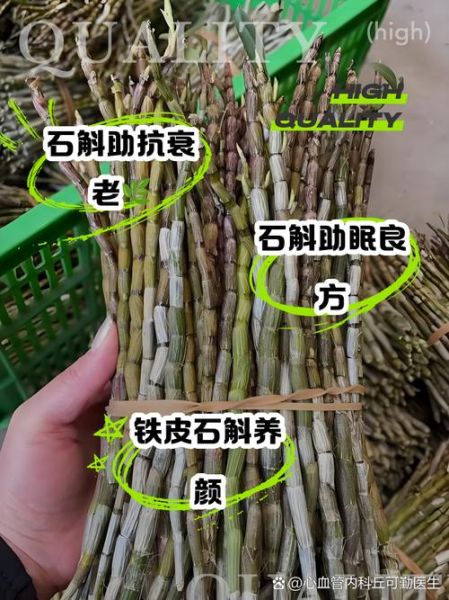 铁皮石斛对女人有什么好处_女人吃铁皮石斛多久见效-第2张图片-山城妙识 铁皮石斛对女人有什么好处_女人吃铁皮石斛多久见效-第2张图片-山城妙识