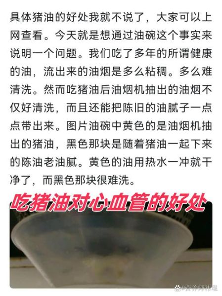 猪油吃多了有什么危害_猪油对心血管的影响-第2张图片-山城妙识
