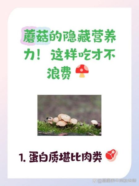 素食养生吃什么好_素食者如何补充蛋白质-第3张图片-山城妙识