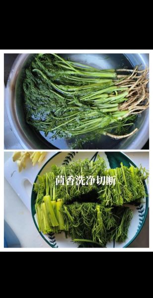 茴香炒肉怎么炒好吃_茴香炒肉用哪个部位肉-第1张图片-山城妙识 茴香炒肉怎么炒好吃_茴香炒肉用哪个部位肉-第1张图片-山城妙识