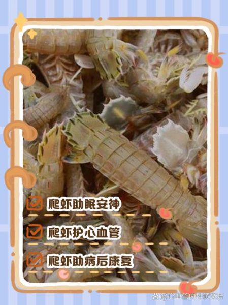 虾爬子是什么意思_虾爬子是哪里的方言-第3张图片-山城妙识