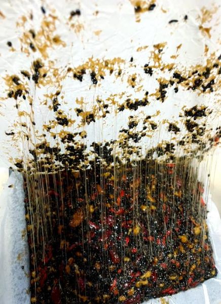 东阿阿胶糕怎么做_正宗阿胶糕配方比例-第1张图片-山城妙识