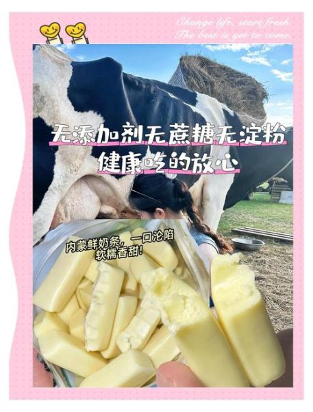 内蒙特产小吃有哪些_内蒙零食怎么选-第1张图片-山城妙识 内蒙特产小吃有哪些_内蒙零食怎么选-第1张图片-山城妙识