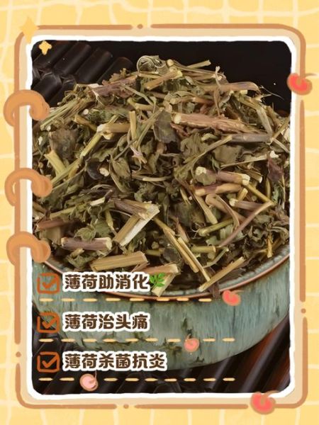 薄荷怎么吃_新鲜薄荷食用方法-第2张图片-山城妙识