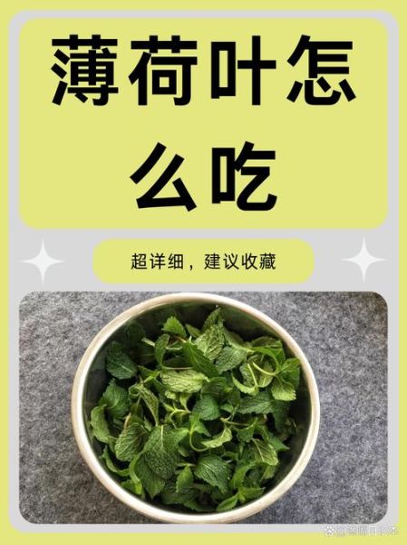 薄荷怎么吃_新鲜薄荷食用方法-第1张图片-山城妙识