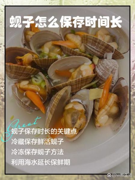 蚬子怎么保存_蚬子可以放冰箱吗-第1张图片-山城妙识