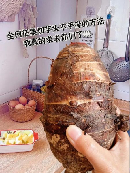 芋艿削皮手痒怎么办_怎么止痒最快-第3张图片-山城妙识 芋艿削皮手痒怎么办_怎么止痒最快-第3张图片-山城妙识