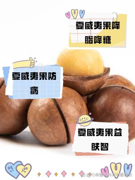 夏威夷果的功效与禁忌_哪些人不能吃-第1张图片-山城妙识