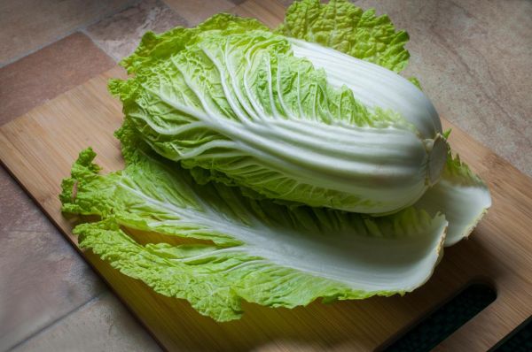 白菜图片高清图片_如何拍摄白菜高清图-第3张图片-山城妙识