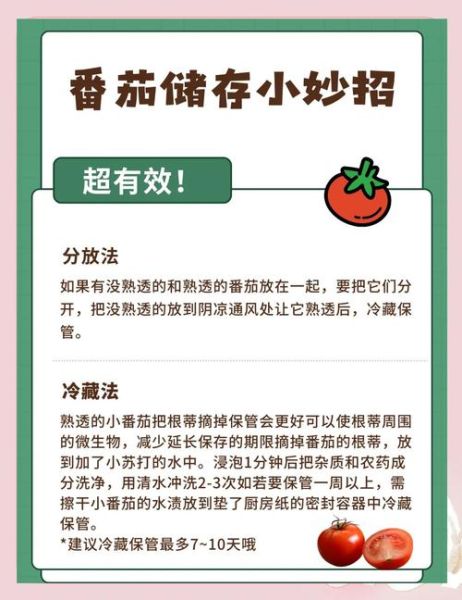 西红柿怎么长期保存_西红柿长期储存方法-第1张图片-山城妙识 西红柿怎么长期保存_西红柿长期储存方法-第1张图片-山城妙识