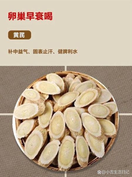 女人吃什么滋补卵巢衰老_卵巢早衰吃什么调理-第1张图片-山城妙识