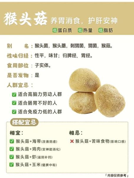猴头菇的营养价值及功效与作用_猴头菇怎么吃养胃-第1张图片-山城妙识 猴头菇的营养价值及功效与作用_猴头菇怎么吃养胃-第1张图片-山城妙识
